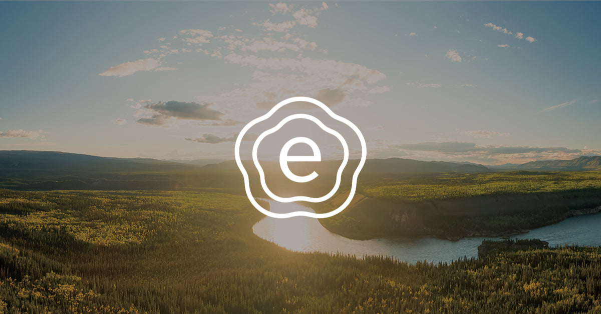 健康情報 – enderlein